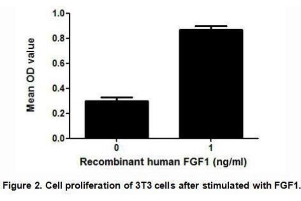 FGF1 Proteins